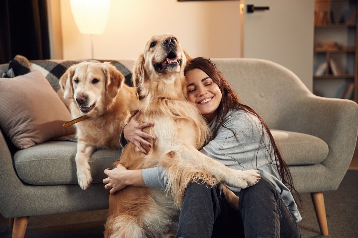 The Importance Of Considering Your Pets In Your Estate Plan - Brian ...